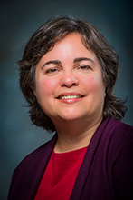 Strategic Plan Contributors | Charles W. Davidson College of Engineering